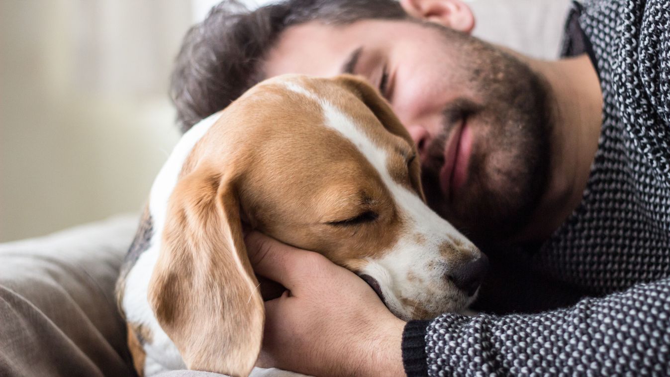 Lehet, hogy éppen ön lesz Hablaty, Füge vagy Blandi gazdája?