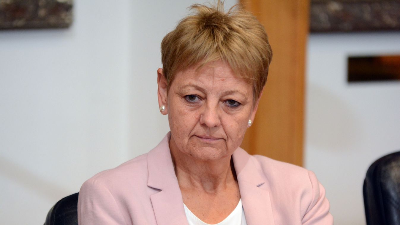 Van-e felemelkedés Borsod-Abaúj-Zemplén számára? Tudósok könyve mutat utat