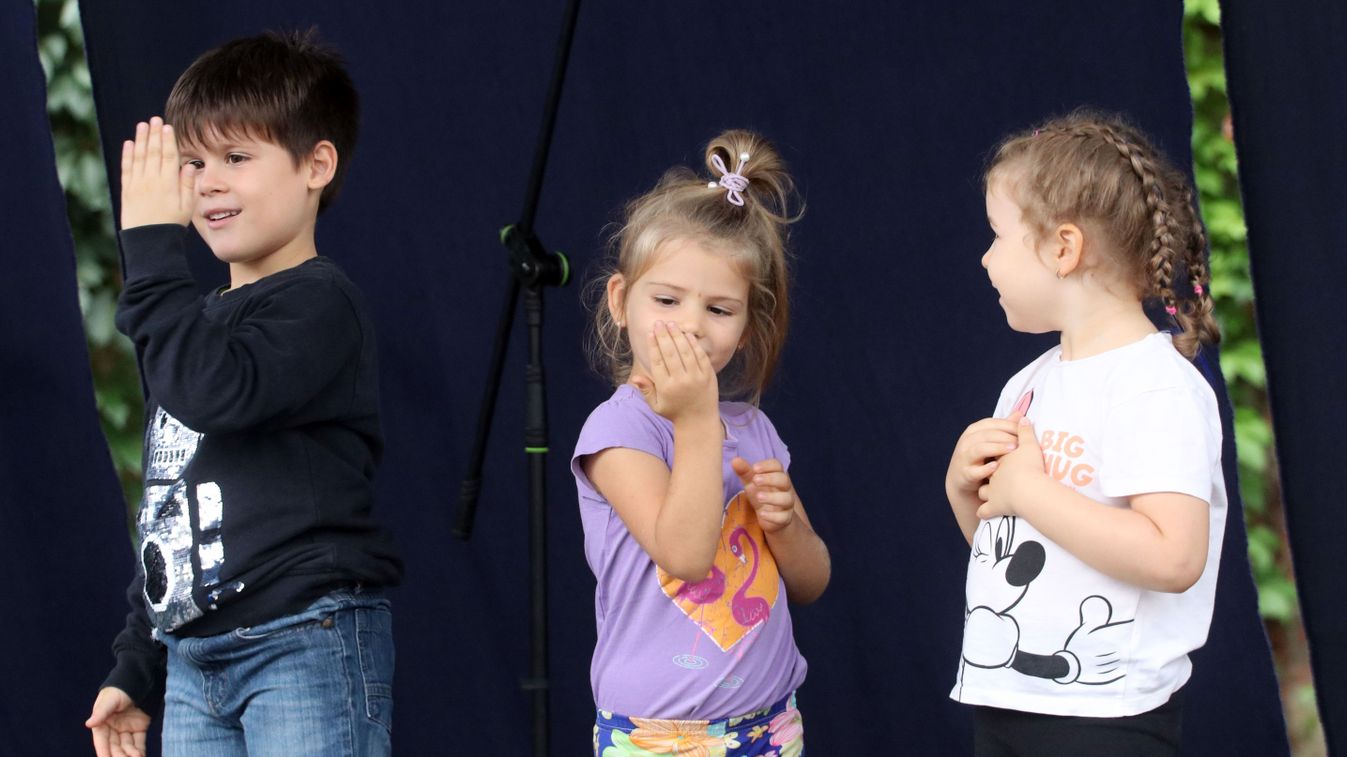 A Csengey-kertben randevúztak a vármegyei civilek (fotók)