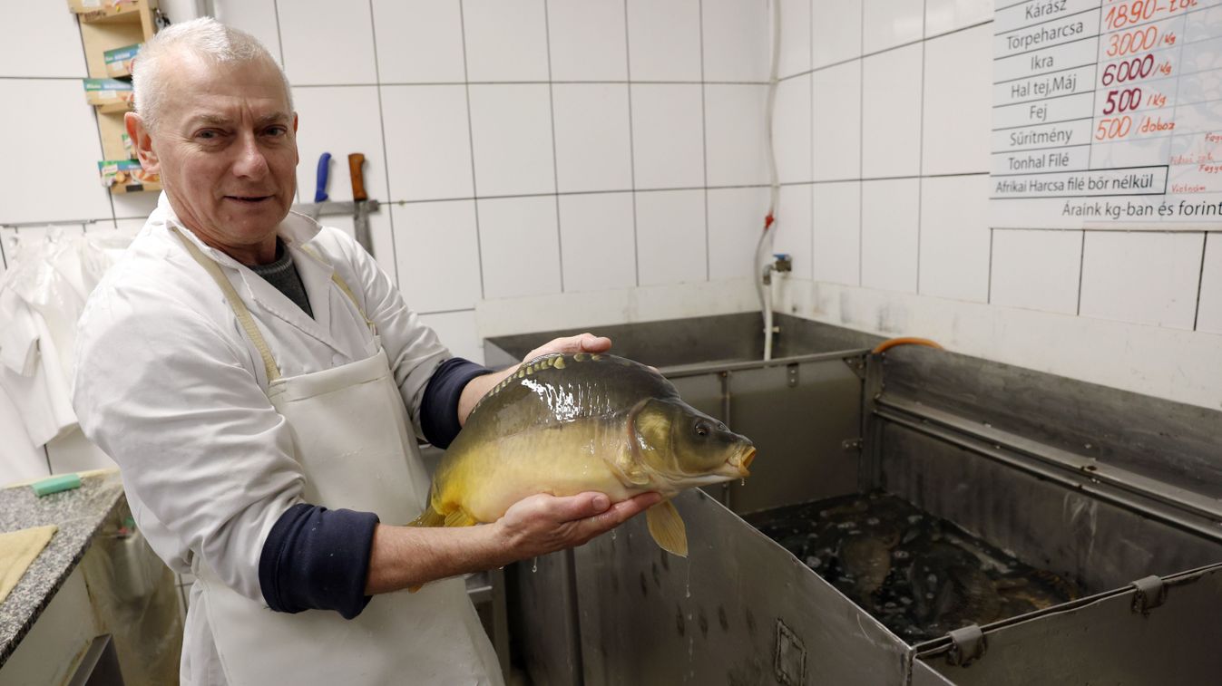 BOON - Így alakulnak a halárak karácsony környékén