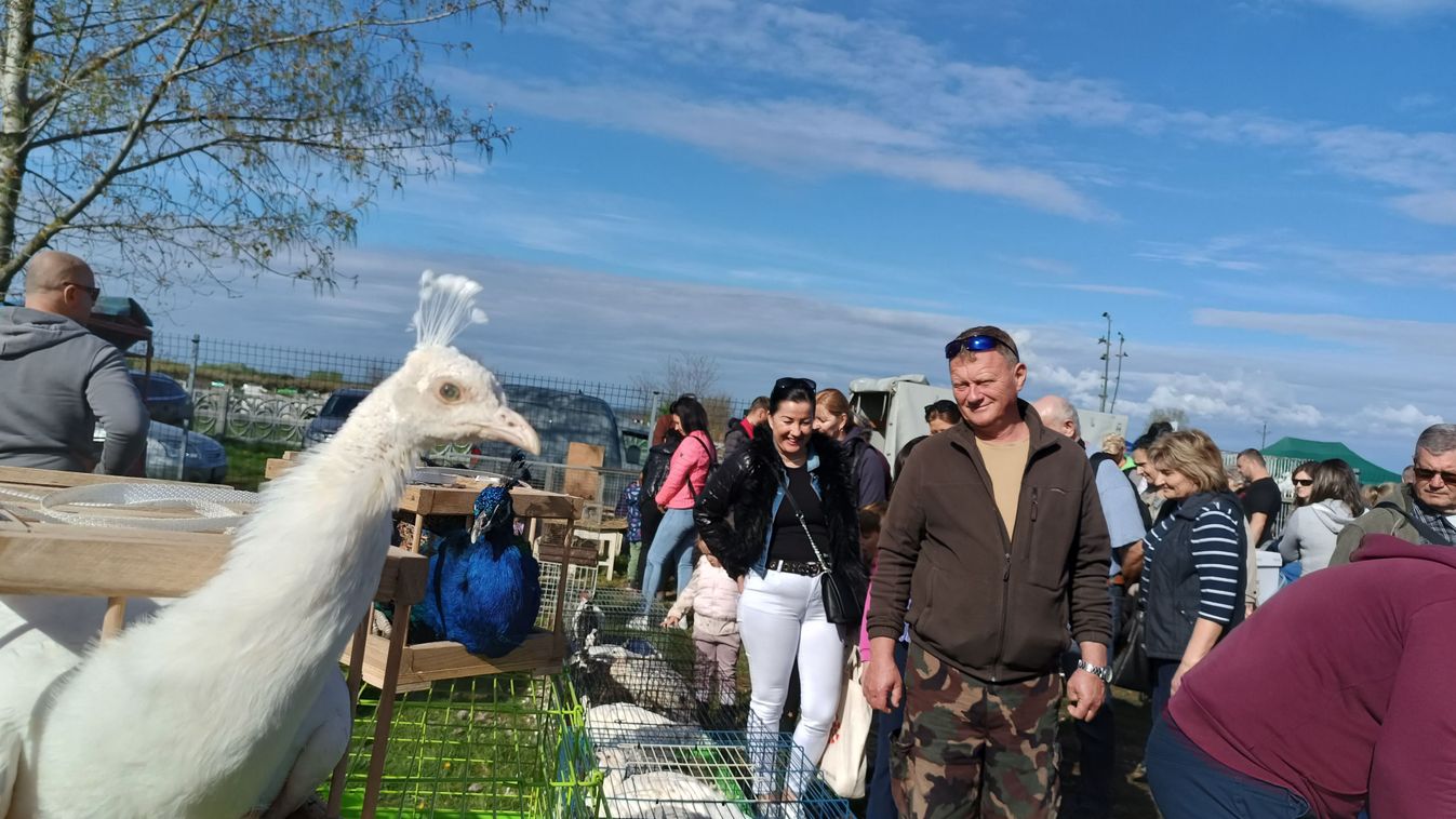 Mindenféle portéka várta a vásárlókat áprilisban is az Ónodi vásáron ...