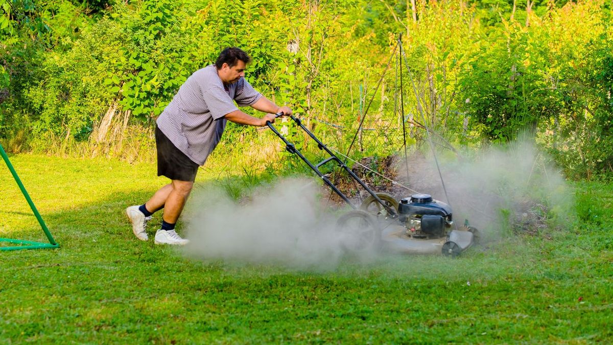 Hangos a szomszéd, mit tehetek?!
