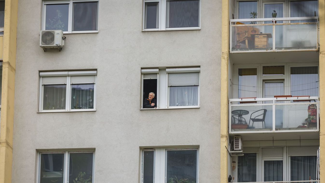 Muslica rejtély: honnan jön és hova megy két invázió között?!