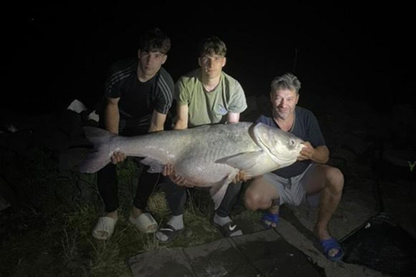 Ponty helyett 75 kilós busaszörnyet fogott a Tisza-tavon