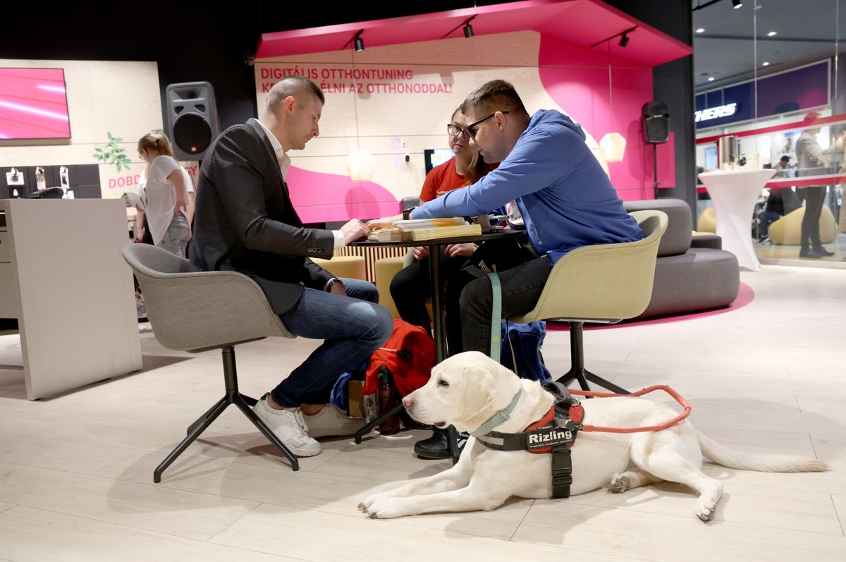 KÉZEN FOGVA A BARÁTHEGYIEKKEL – ÉRZÉKENYÍTŐ HÉT A MAGYAR TELEKOM ...