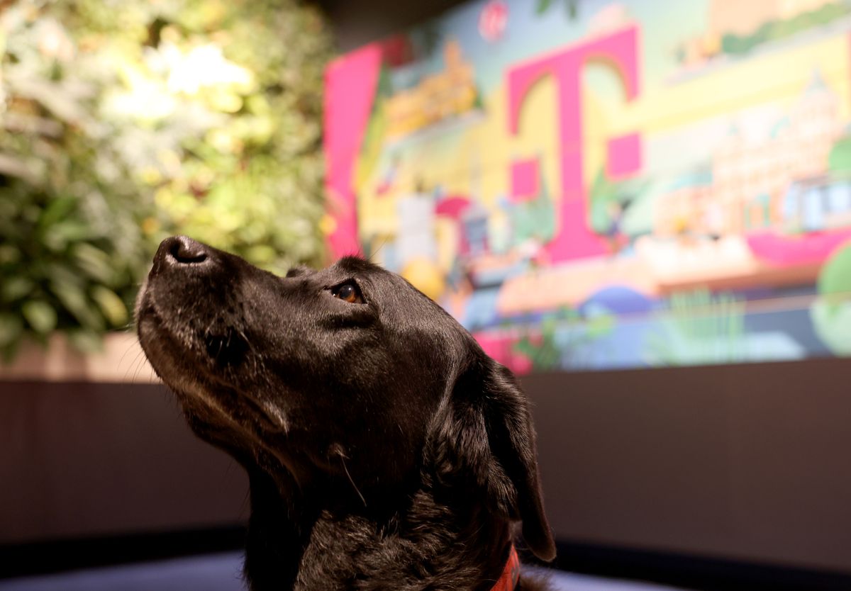 KÉZEN FOGVA A BARÁTHEGYIEKKEL – ÉRZÉKENYÍTŐ HÉT A MAGYAR TELEKOM ...