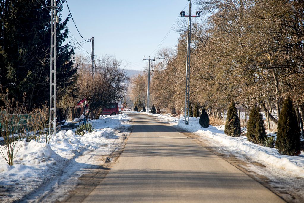 Fájon jártunk, meglepő dolgokat tapasztaltunk
