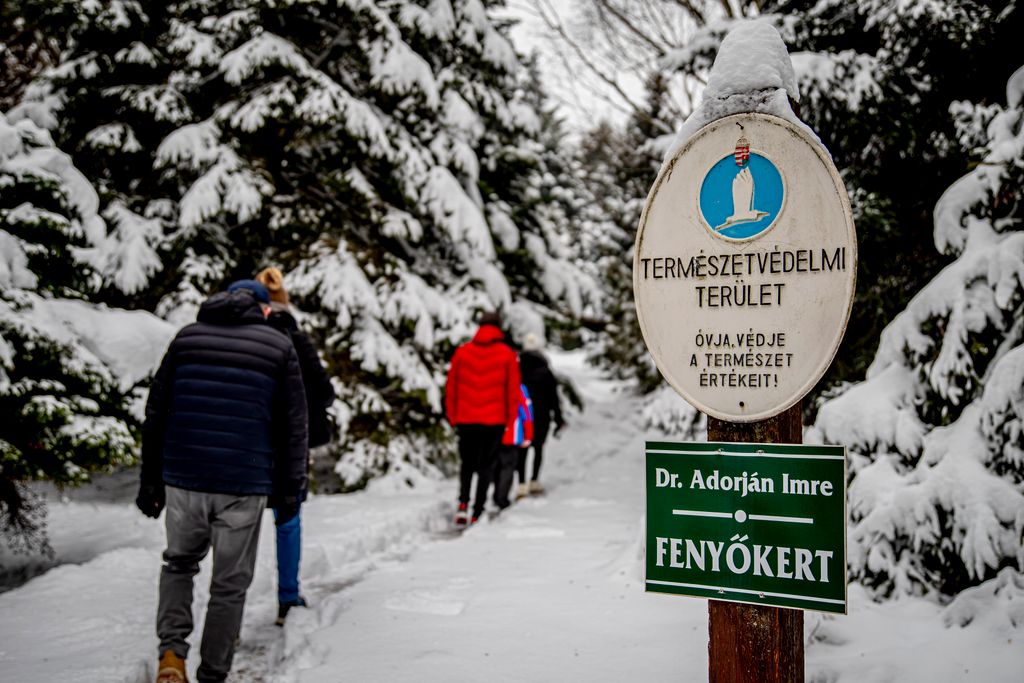 Arborétum: csak egy órára nyitott ki az avasi Fenyőkert