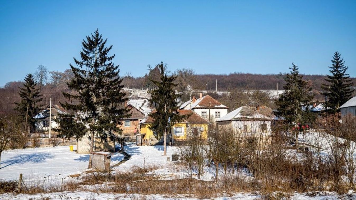 Fájon jártunk, meglepő dolgokat tapasztaltunk